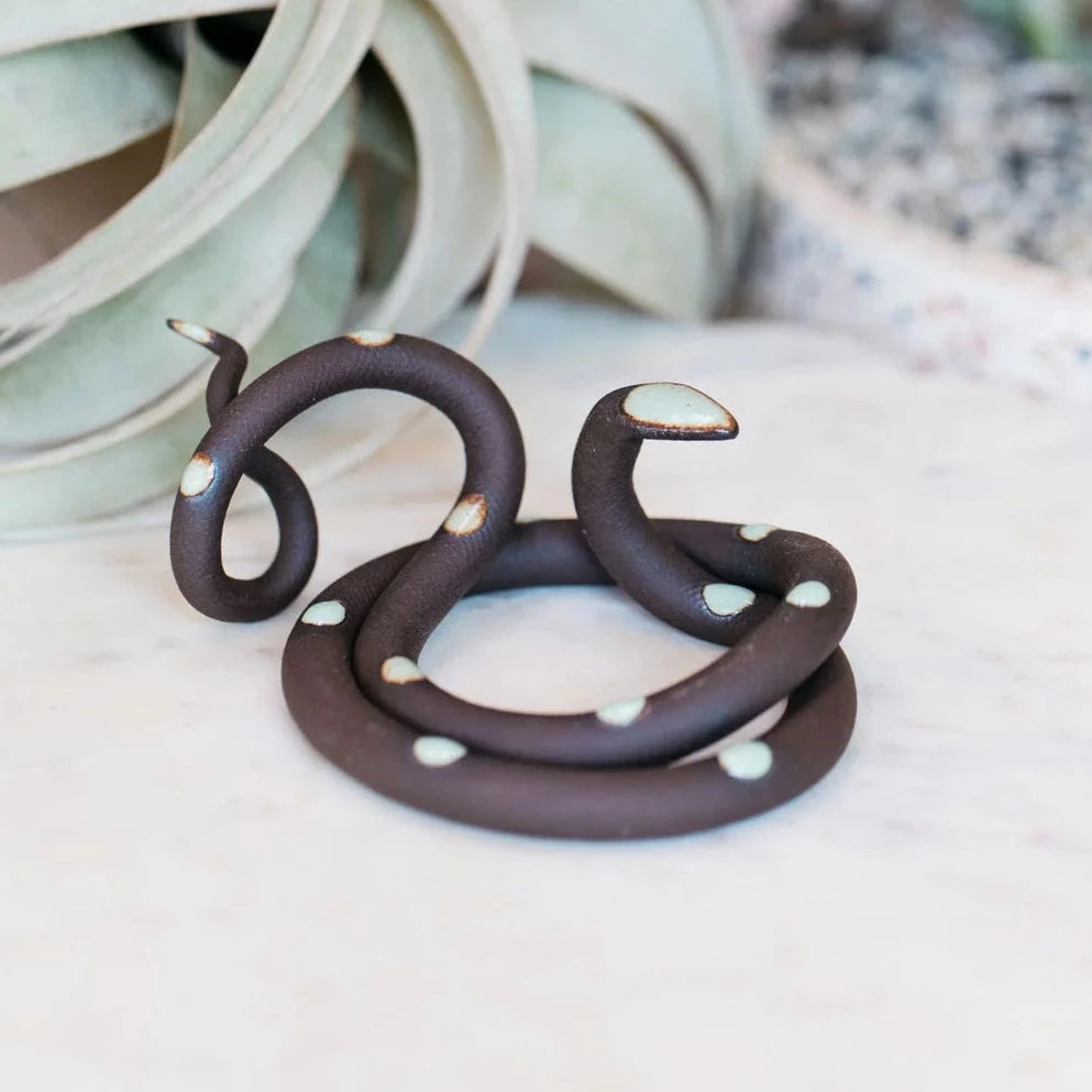 Carter + Rose - Stevie Medium Snake - Black + Turquoise – Above Snakes